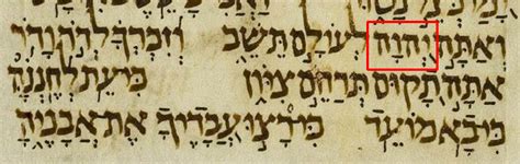 Ios Uicollectionview Leaves Blank Cells While Scrolling Stack Overflow
