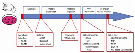 Chapter 5 Modern Techniques In Quantitative Proteomics Bioanalysis Zone