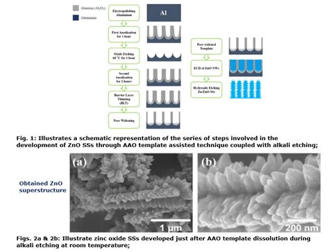 Idf No 2249 Aao Template Assisted Synthesis Process Coupled With Alkali Etching To Develop Zinc