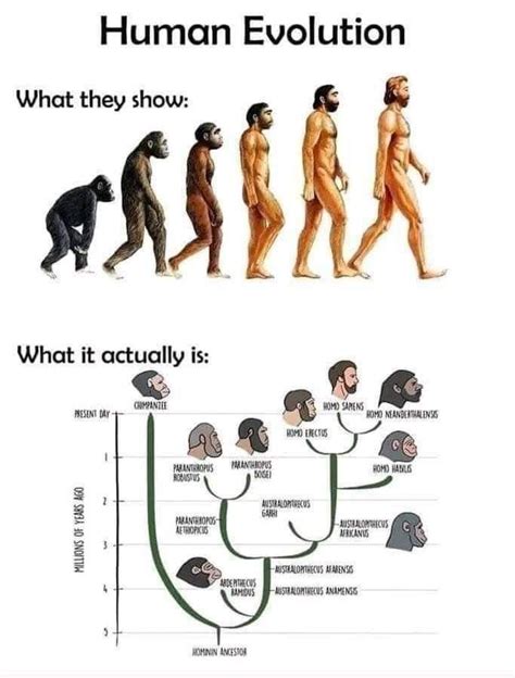 Pin By Eris Discordia On Geneticsevolution Biology Jokes Biology