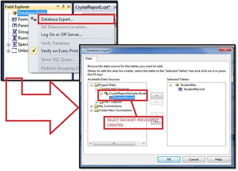 Creating A Simple But Useful Crystal Report Codeproject