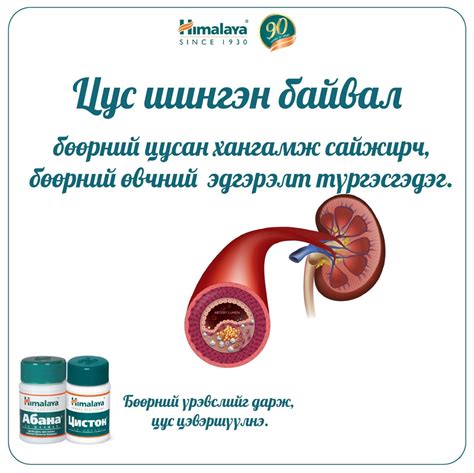 Яагаад бөөр өвдөхөөр артерын даралт ихсээд байдаг вэ “ЦАХИУР ТӨМӨР” ХХК