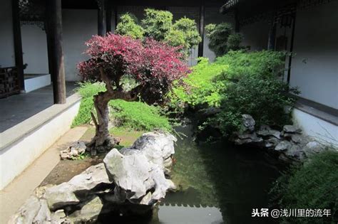 蘇杭園林之藝圃 每日頭條