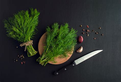 매운 허브 향신료 양파 파슬리 딜 신선한 허브와 주방 용품 나물 딜 파슬리 마늘 실란트로 0명에 대한 스톡 사진 및 기타 이미지 Istock