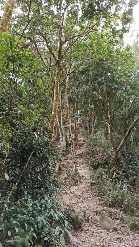 縱橫於瘦稜線神仙縱走 健行筆記