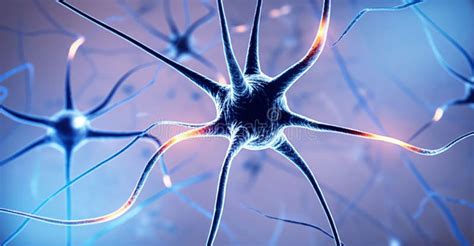 Close Up Of A Neuron With Illuminated Synaptic Activity Stock Illustration Illustration Of