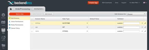 How To Retrieve Databasetable Schema Using Api Backendless