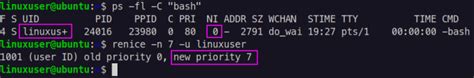 Renice Command In Linux With Examples