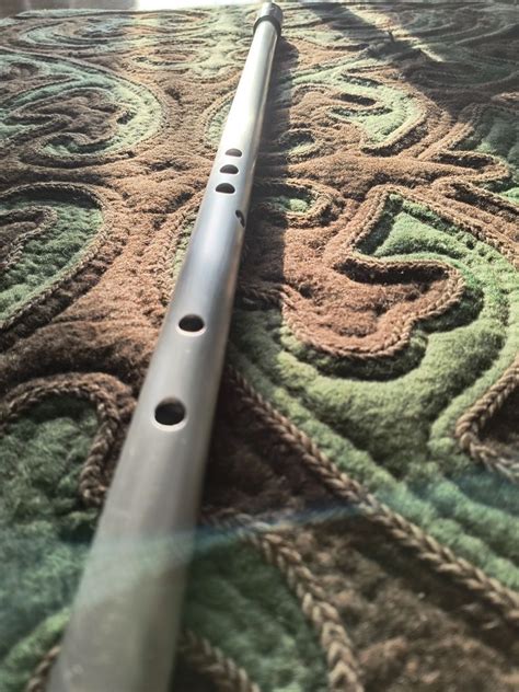 Caval Cu 6 Gauri In La Baciu • Olx Ro