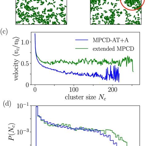 Snapshots Of Simulations With A The Traditional Mpcd Method And B