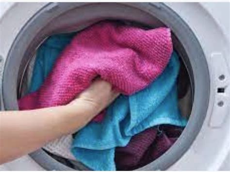 Покладіть яєчну шкаралупу та соду у пральну машину під час прання результат вас напевне