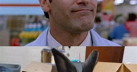 This Is My Bun Ozzy Osbun I Need Help Answering A Question Album On Imgur