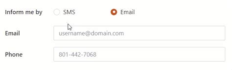 Fields And Controls Validation — Plumsail Web Forms Documentation
