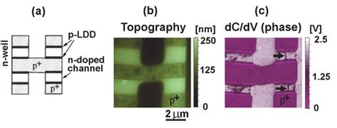 A Sketch Of The P And N Doped Areas Of A Static Random Access Memory Download Scientific