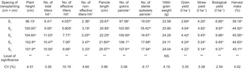 Effect Of Spacing Of Transplanting On Crop Characters Yield Components