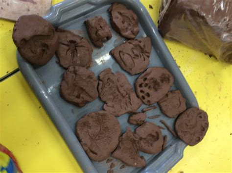 Fantastic Fossils In Eyfs Levens Ce School Fantastic Fossils In Eyfs Levens Ce School
