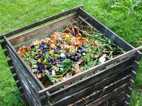 Composting For Beginners An Introduction To Composting