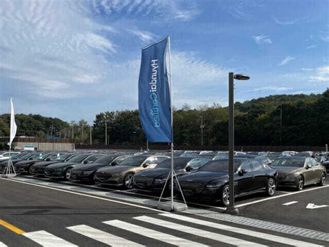 현대차 중고차 온라인으로 판다