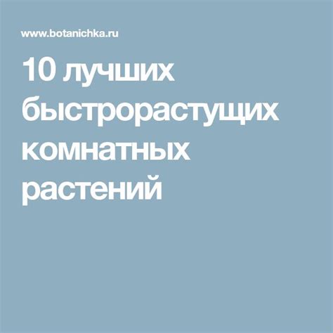 10 лучших быстрорастущих комнатных растений 10 Things