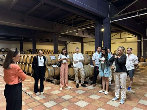 ღვინის ღვინის პროფესიონალების ათკაციანი ჯგუფის წევრები თბილისსა და კახეთში ქართული ღვინის