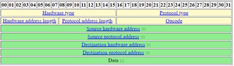 Sniffer TCP UDP ICMP és ARP protokollokra
