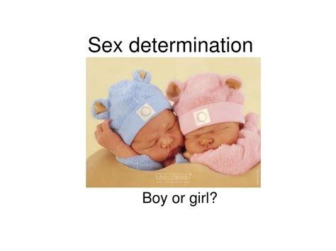 Ppt Sex Determination Powerpoint Presentation Free Download Id