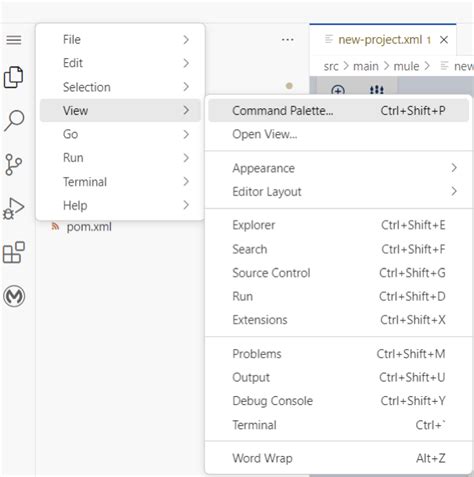 Whats New In Anypoint Code Builder