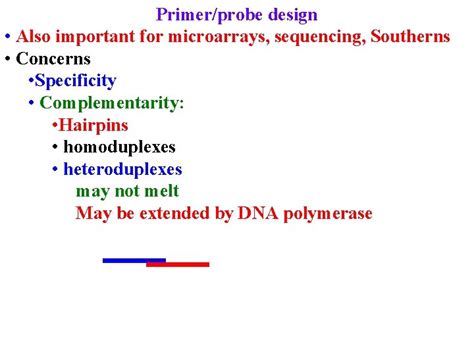 Primerprobe Design Crucial For Successful Dna Rna Analysis