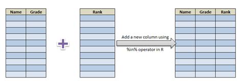 Any And All Function In R Datascience Made Simple