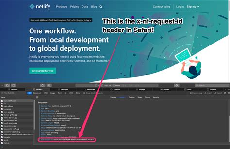 Support Guide Netlify Support Asked For The X Nf Request Id Header