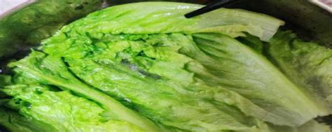 生菜如何烫水不会黄 在焯水的时候可以放入适量的食盐 知秀网