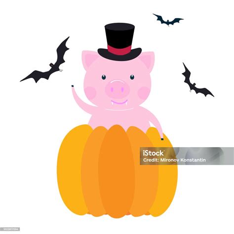 귀여운 재미 있는 돼지 캐릭터2019 중국 새 해의 상징 평면 스타일 디자인 벡터 그림을 흰색 배경에 고립 할로윈 호박과 뱀파이어 스타일에서 밝은 분홍색 돼지 돼지 10월에