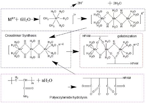 Schematic Diagram Of Cross Linking Reaction Download Scientific Diagram