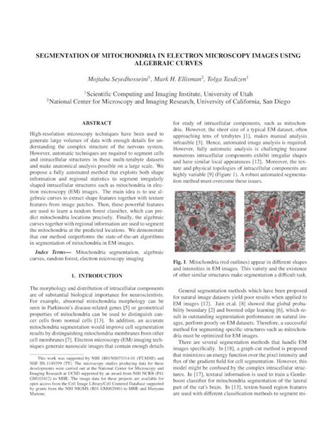 Pdf Segmentation Of Mitochondria In Electron Microscopy Images €¦ · Segmentation Of