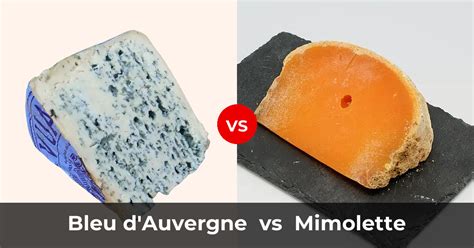Bleu Dauvergne Cheese Vs Mimolette Cheese Whats The Difference