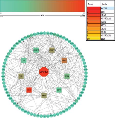 Bioinformatics Analysis Uncovers Mapk As The Central Target Of Cub A Download Scientific
