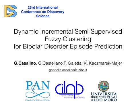 Dynamic Incremental Semi Supervised Fuzzy Clustering For Bipolar