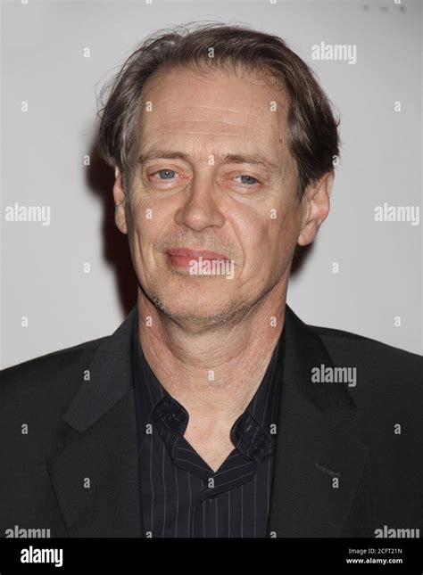 Steve Buscemi 2010 Photo By John Barrett PHOTOlink MediaPunch Stock Photo Alamy