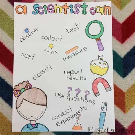Scientist Anchor Chart Scientist Anchor Chart Science Anchor Charts First Grade Science