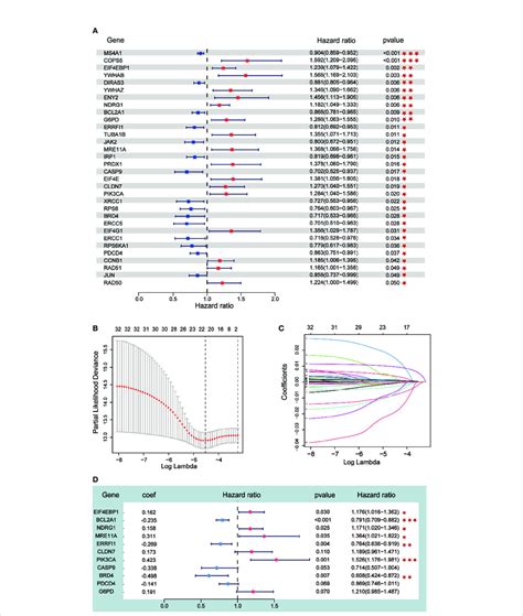 Prognostic Risk Model Construction A Univariate Cox Analysis