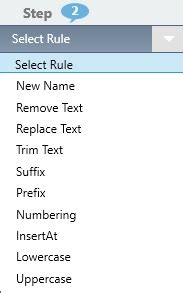 Rename Files And Delete All Duplicates