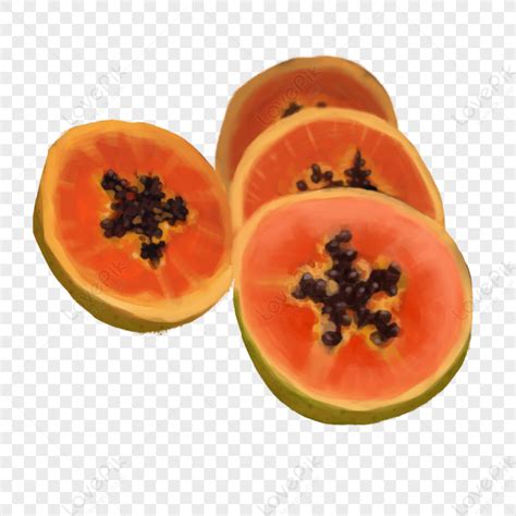 파파야 Png 일러스트 무료 다운로드 Lovepik