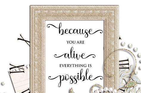 Amelia Script 268647 Script Font Bundles