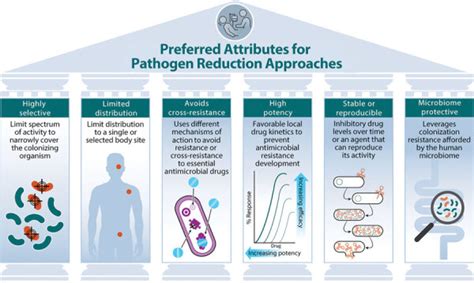 Decolonization And Pathogen Reduction Approaches To Prevent