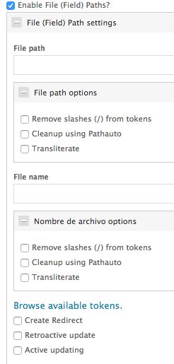 Drupal Modules Renaming Upload File Names And Path With File Field Paths Module
