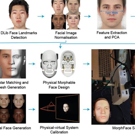 Data Driven Design Process Of Morphface Facial Features Were Extracted Download Scientific