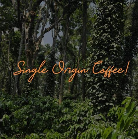 The Art Of Filter Kaapi A South Indian Legacy The Ka Pi Co