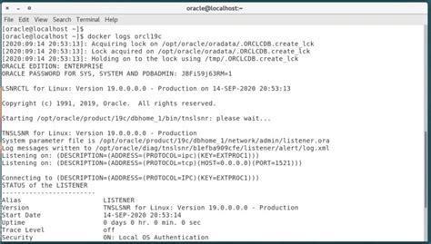 How To Deploy An Oracle Database 19c Docker Container Sean Stacey For What Its Worth
