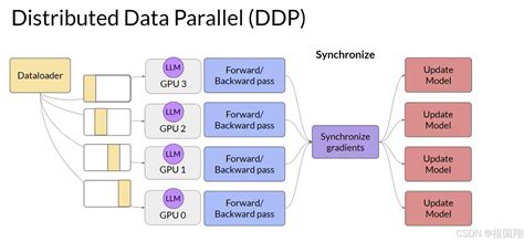 多gpu训练大语言模型，ddp， Zero 和 Fsdp芯片ddp Csdn博客