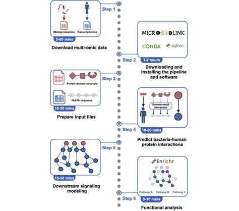 Starprotocols Cellpress Hostmicrobe Star Protocols By Cell Press